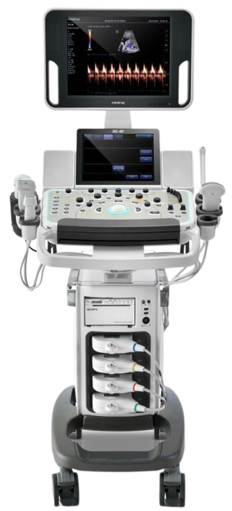 Ultrasonography | TMS